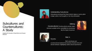 Role of Culture Social Organization Deviancy and Control.pptx