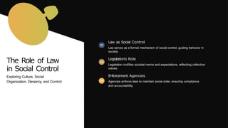 Role of Culture Social Organization Deviancy and Control.pptx