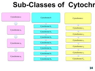 Role of cytochromes.pptx