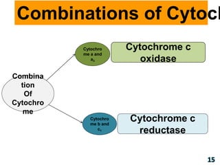 Role of cytochromes.pptx