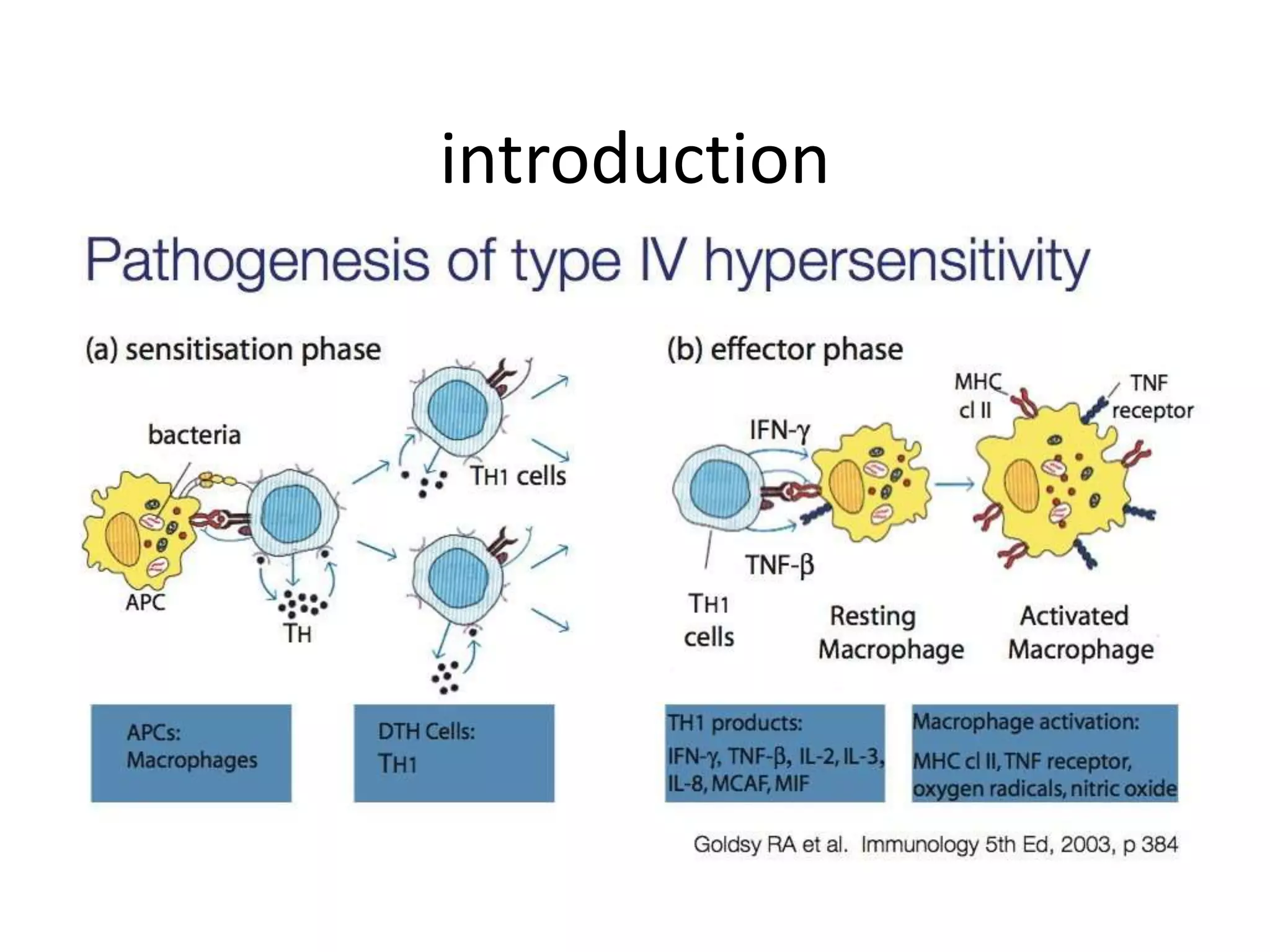 Role of cytokines in type iv hypersensitivity | PPTX