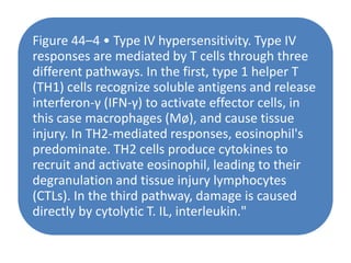 Role of cytokines in type iv hypersensitivity | PPTX