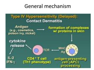 Role of cytokines in type iv hypersensitivity | PPTX