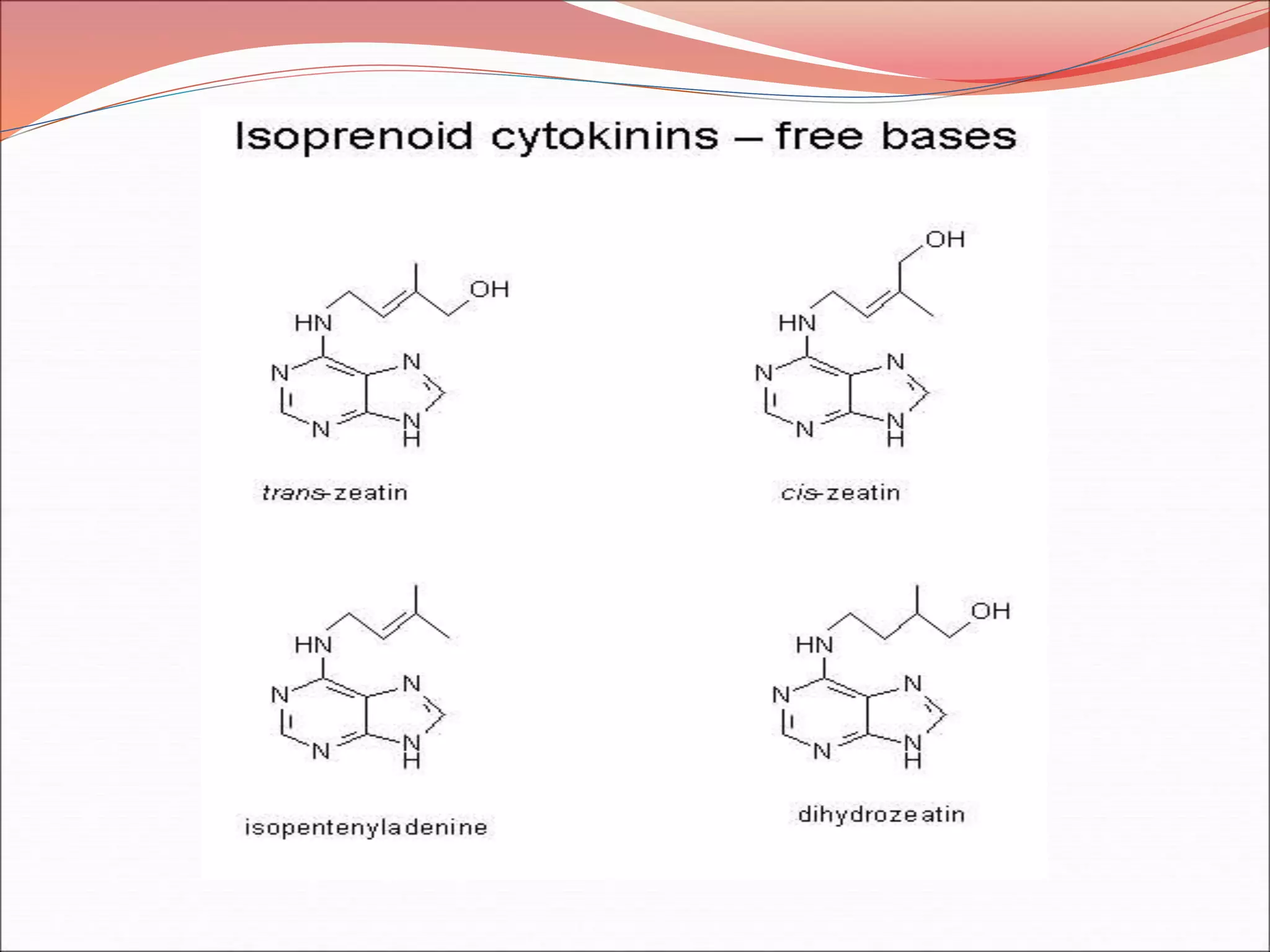 Role of cytokinin in plant tissue culture | PPT