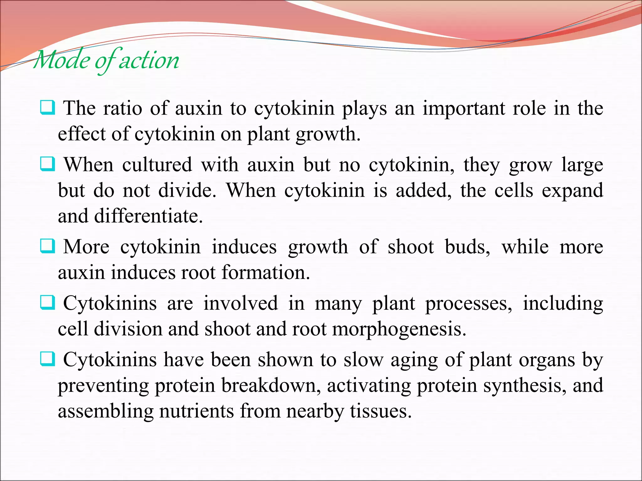 Role of cytokinin in plant tissue culture | PPT