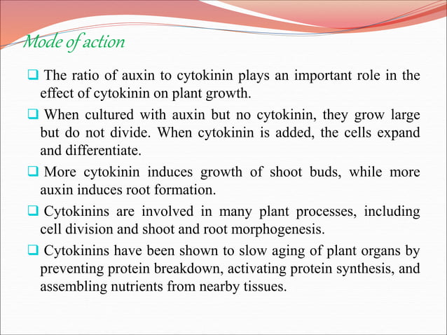 Role of cytokinin in plant tissue culture | PPT