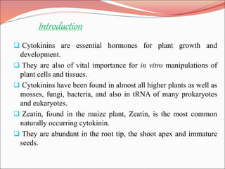 Role of cytokinin in plant tissue culture | PPT