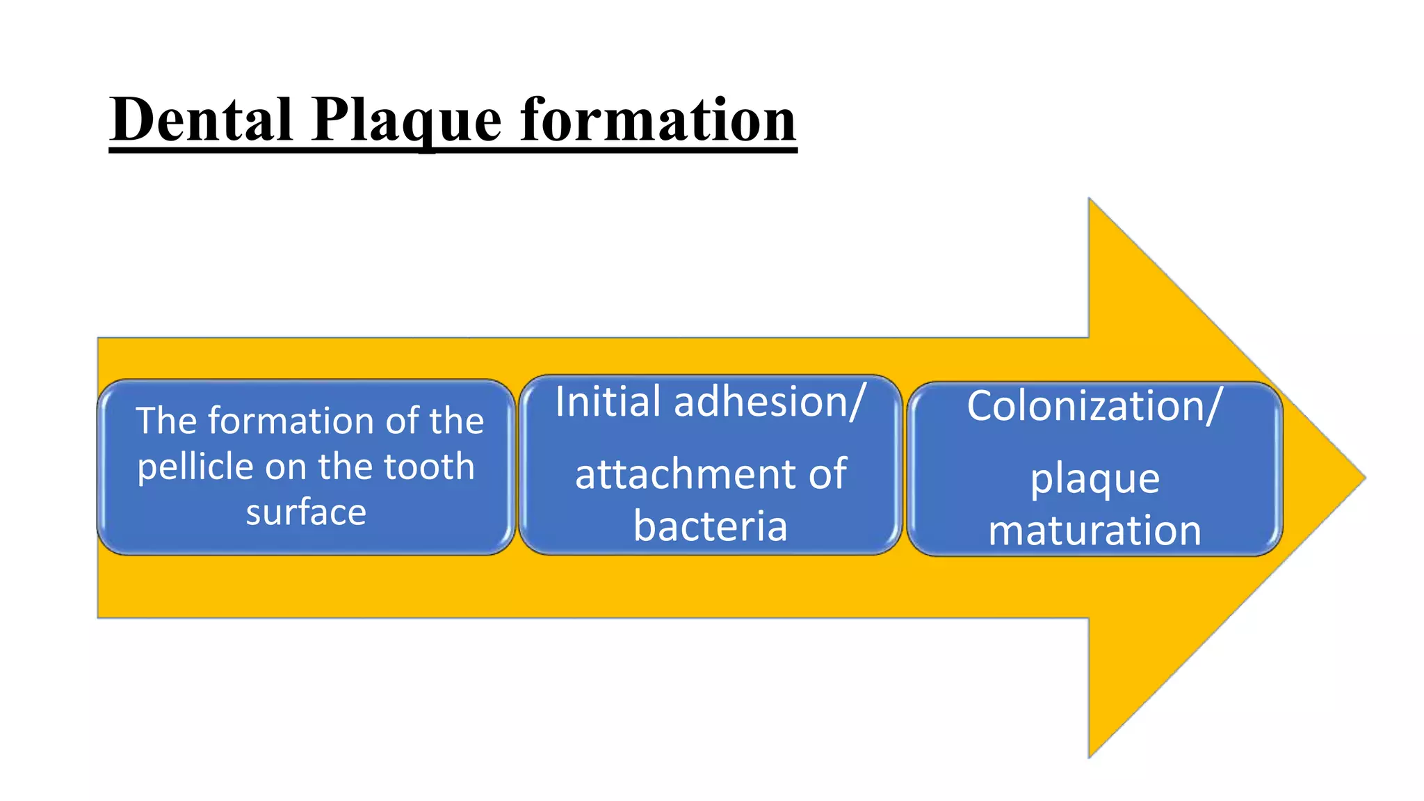 Role of dental biofilm in pathogenesis of periodontal | PPTX