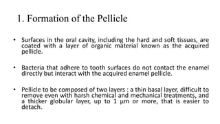 Role of dental biofilm in pathogenesis of periodontal | PPTX
