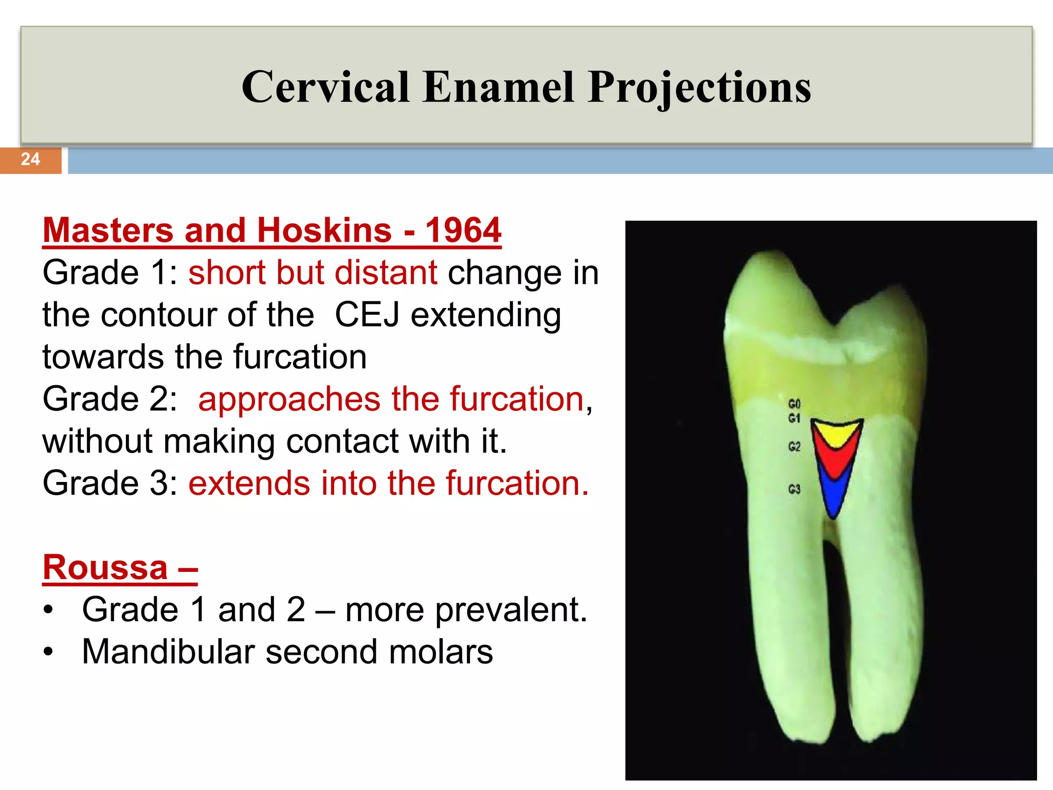 role of dental calculus DR SINDHURA.pptx
