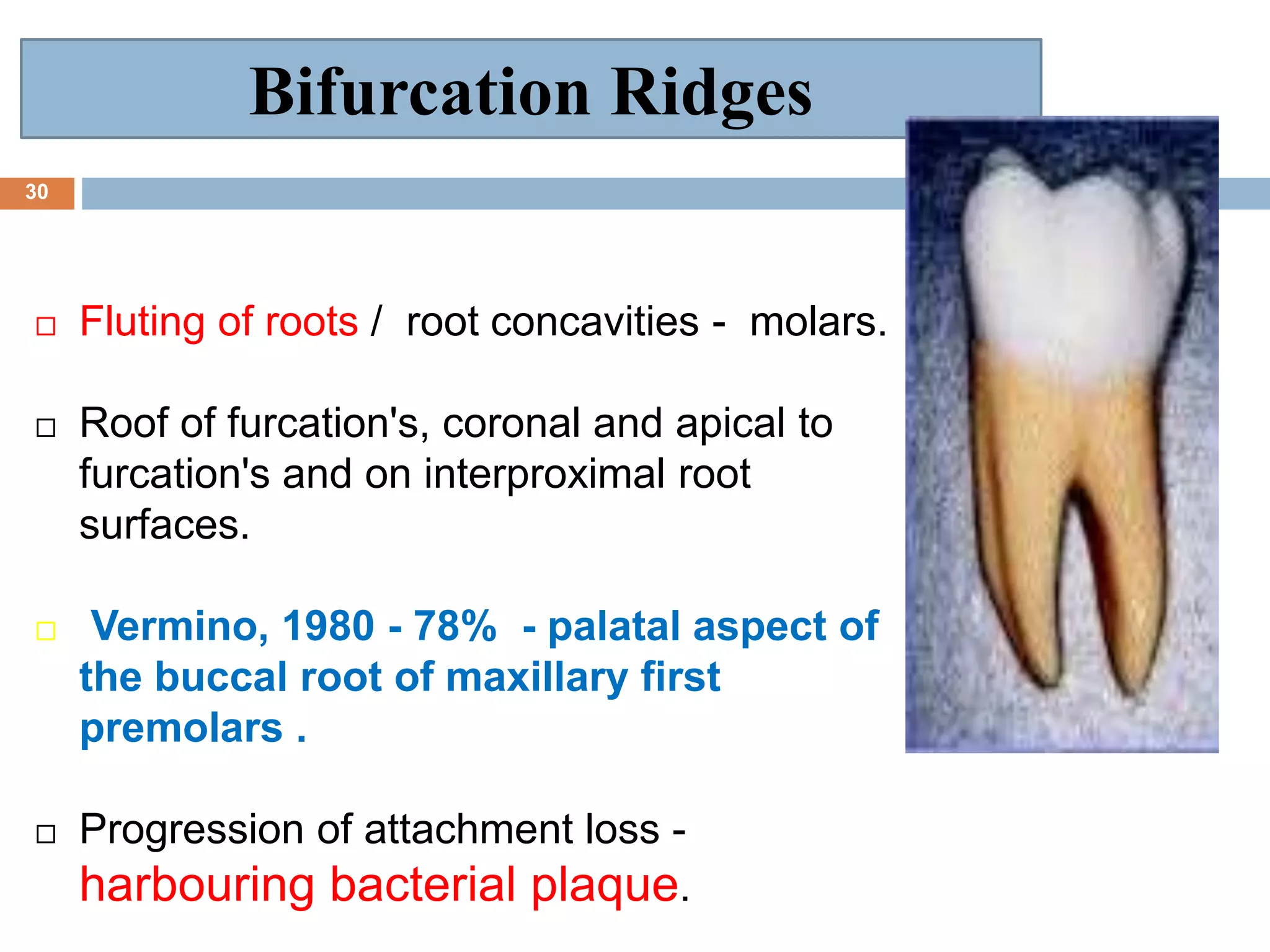 role of dental calculus DR SINDHURA.pptx
