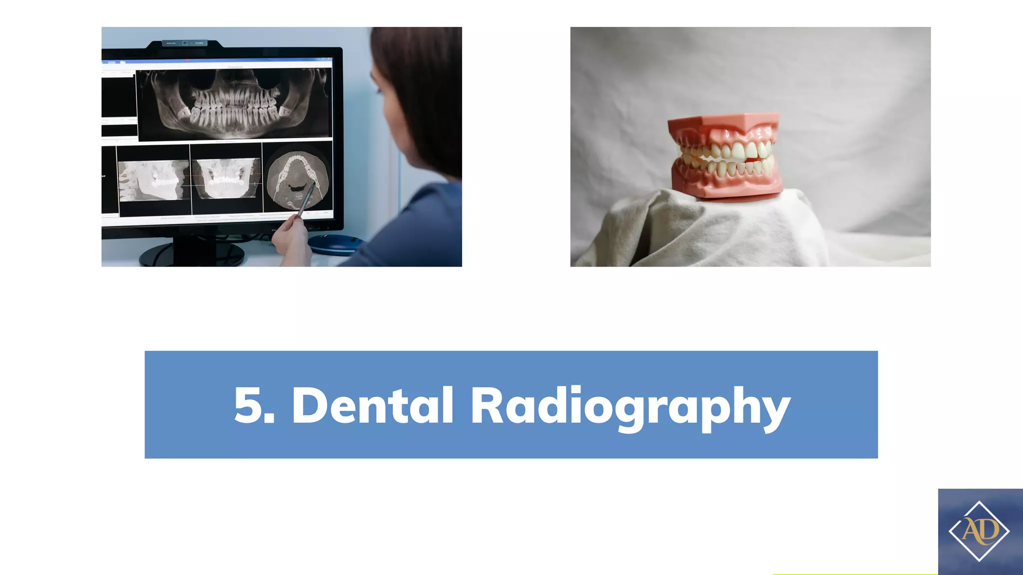 Role of Dental Hygienists in Maintaining Optimal Oral Health | PDF