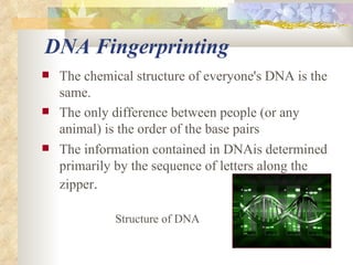 Role of dna fingerprinting in crimes | PPT