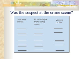 Dna Fingerprinting Crime Scene