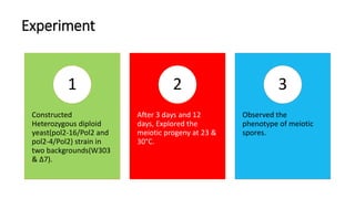 Role of dna polymerase delta | PPT