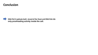 Role of dna polymerase delta | PPT
