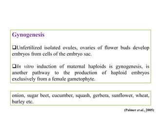 Role of double haploids in vegetable crop improvement | PDF