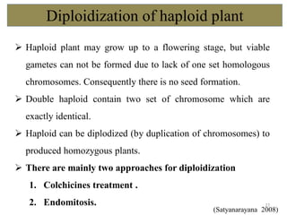 Role of double haploids in vegetable crop improvement | PDF