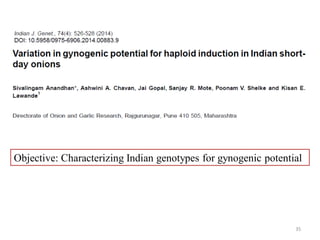 Role of double haploids in vegetable crop improvement | PDF