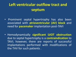 Role of echo in tavi | PDF