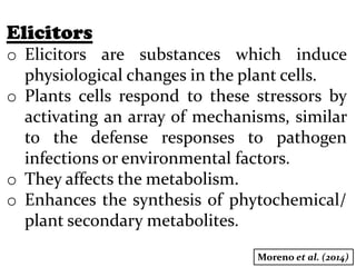 Role of eliciator in production of plant secondary metabolite | PDF