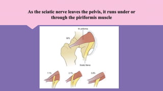 Role of EMG-NCS in piriformis syndrome.pptx
