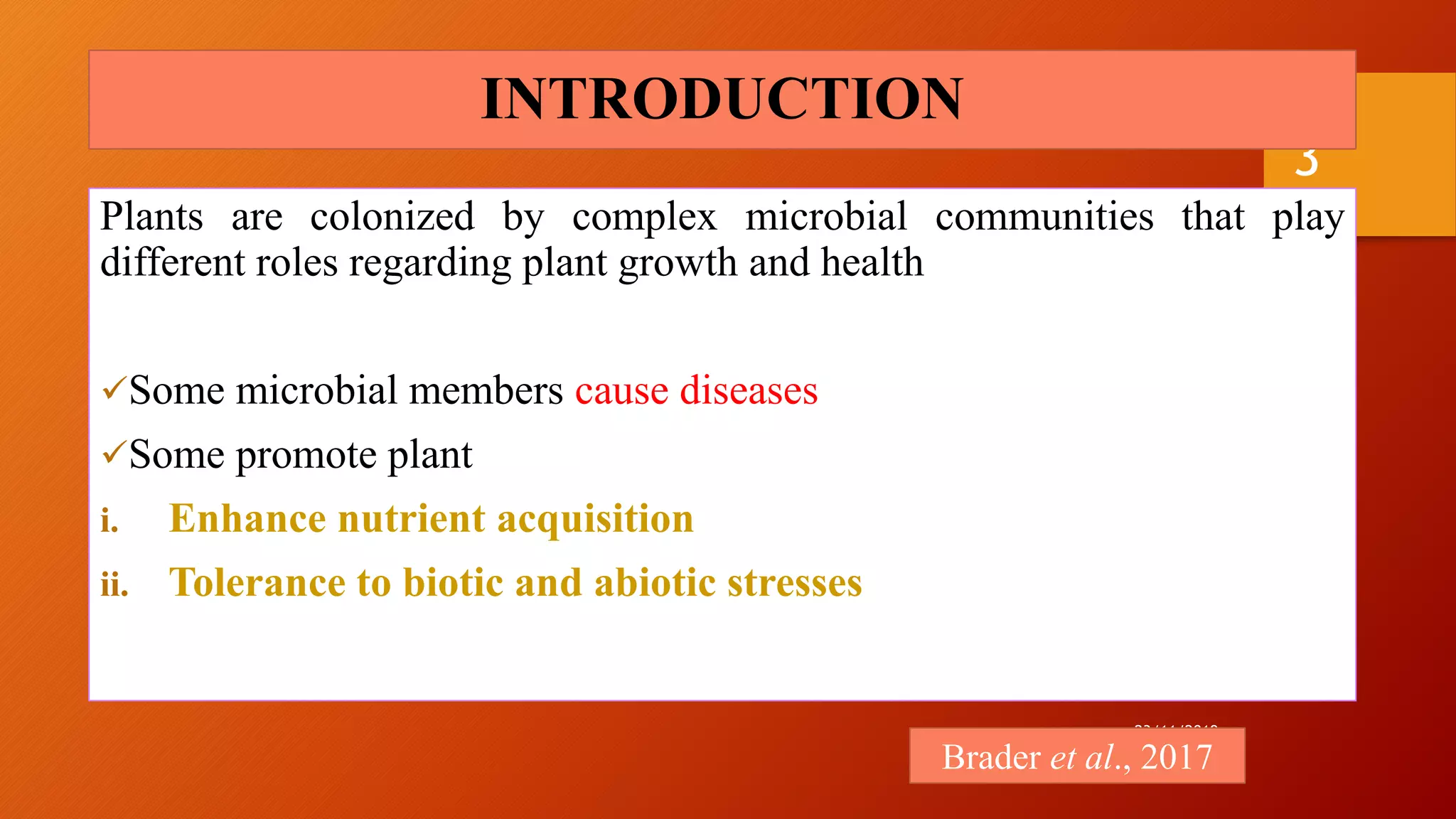 role of endophytes.pptx