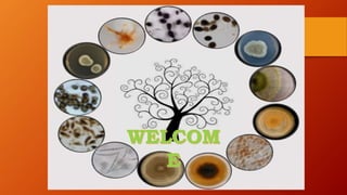 role of endophytes.pptx