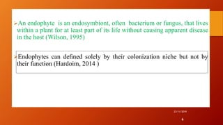 role of endophytes.pptx