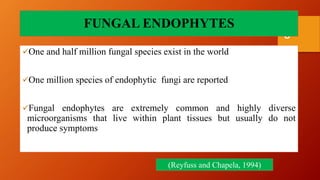 role of endophytes.pptx