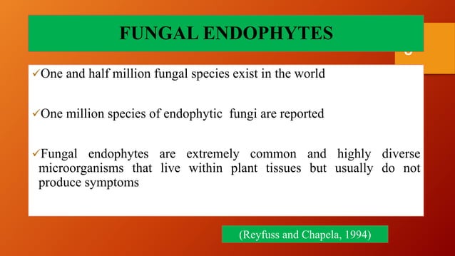 role of endophytes.pptx