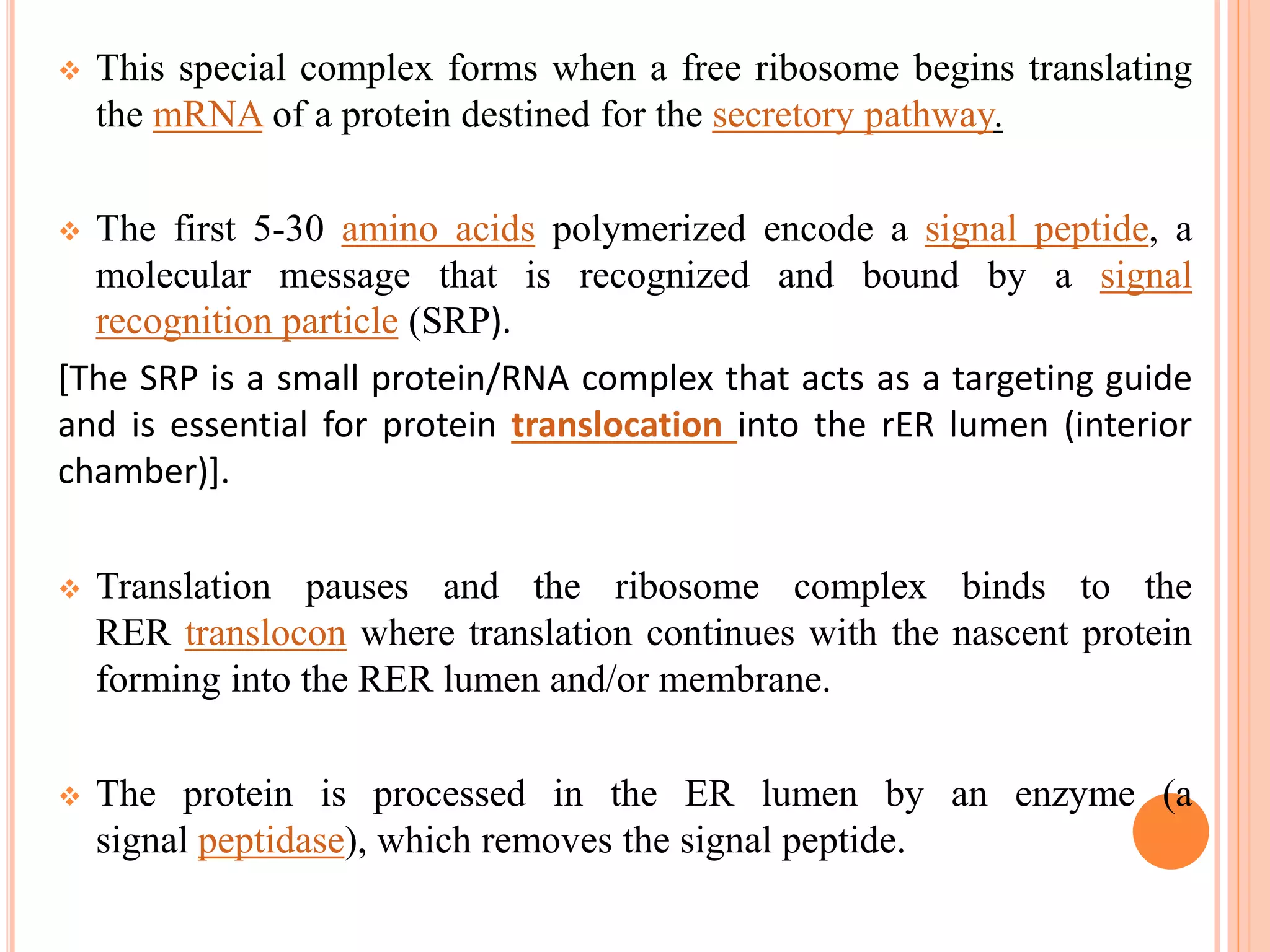 Role of endoplasmic reticulum in protein systhesis and1 | PPTX