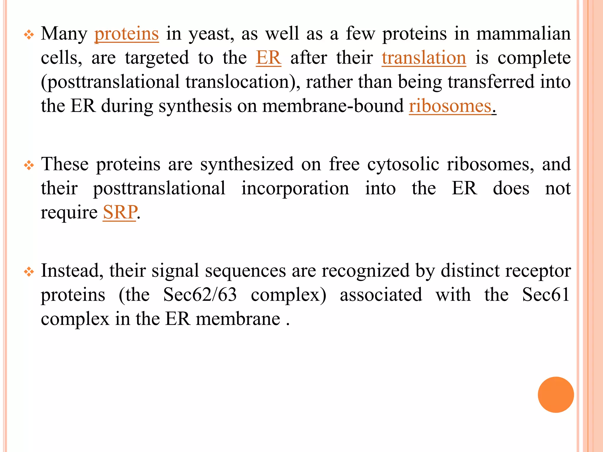 Role of endoplasmic reticulum in protein systhesis and1 | PPTX