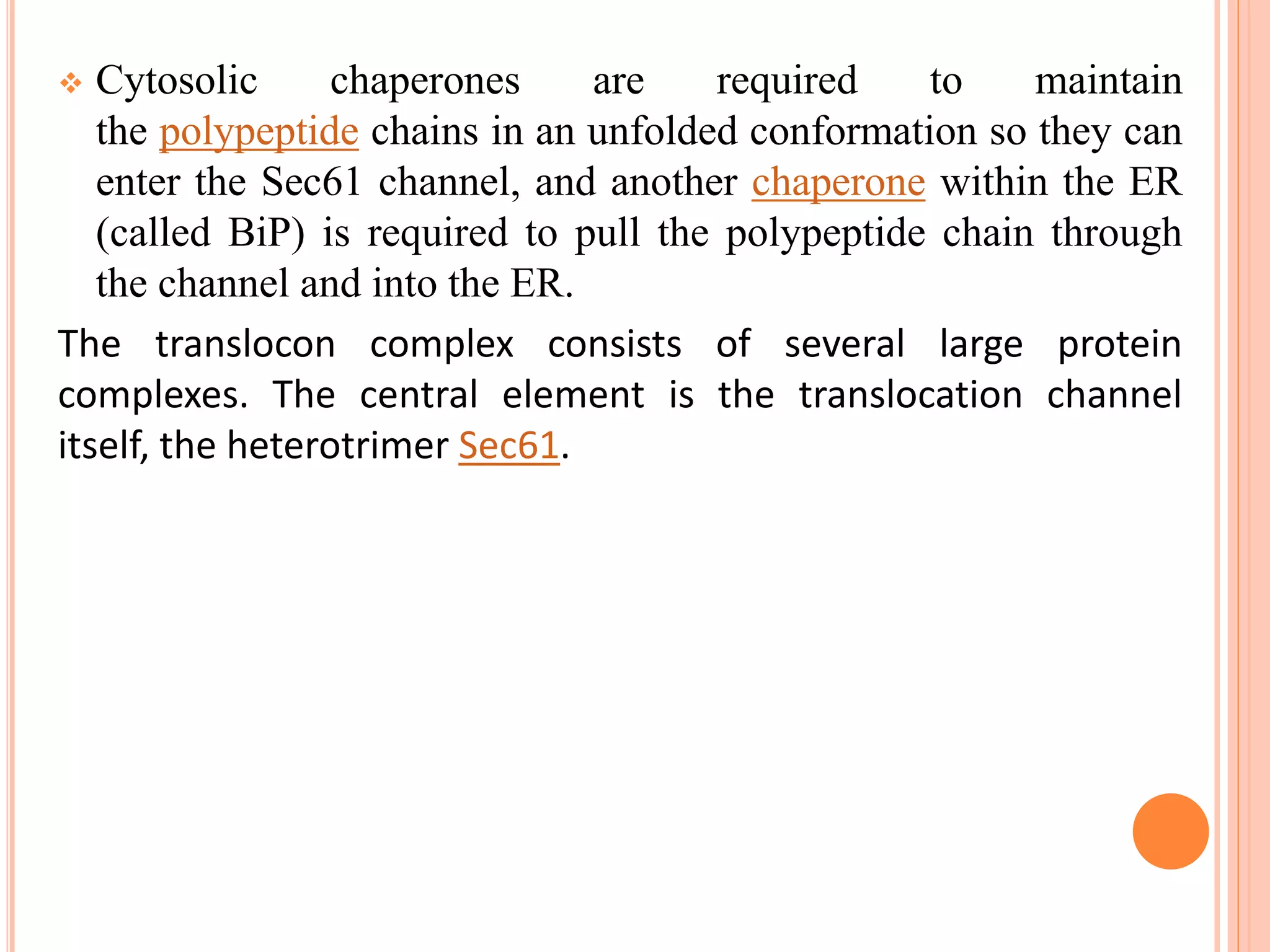 Role of endoplasmic reticulum in protein systhesis and1 | PPTX