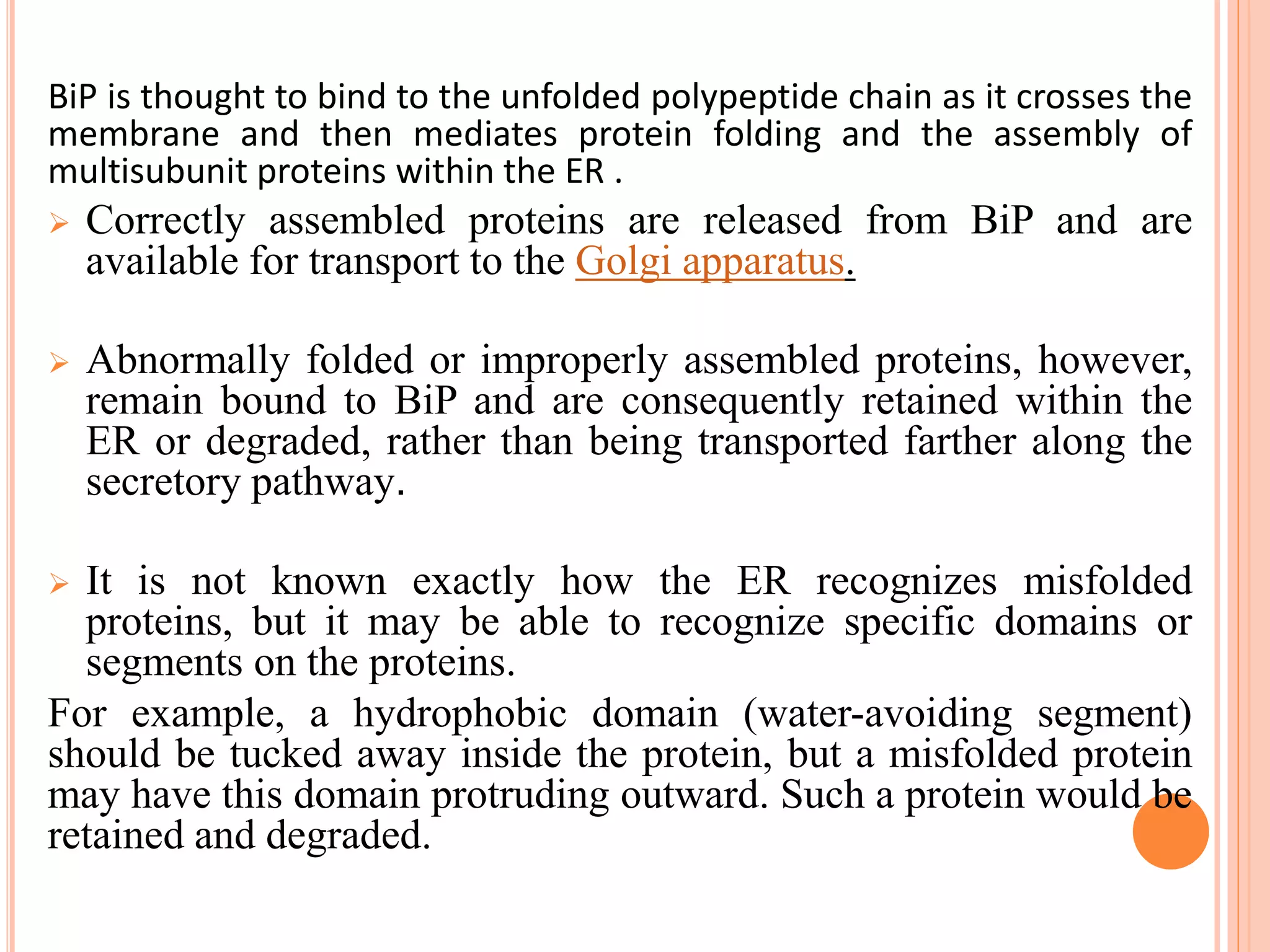 Role of endoplasmic reticulum in protein systhesis and1 | PPTX