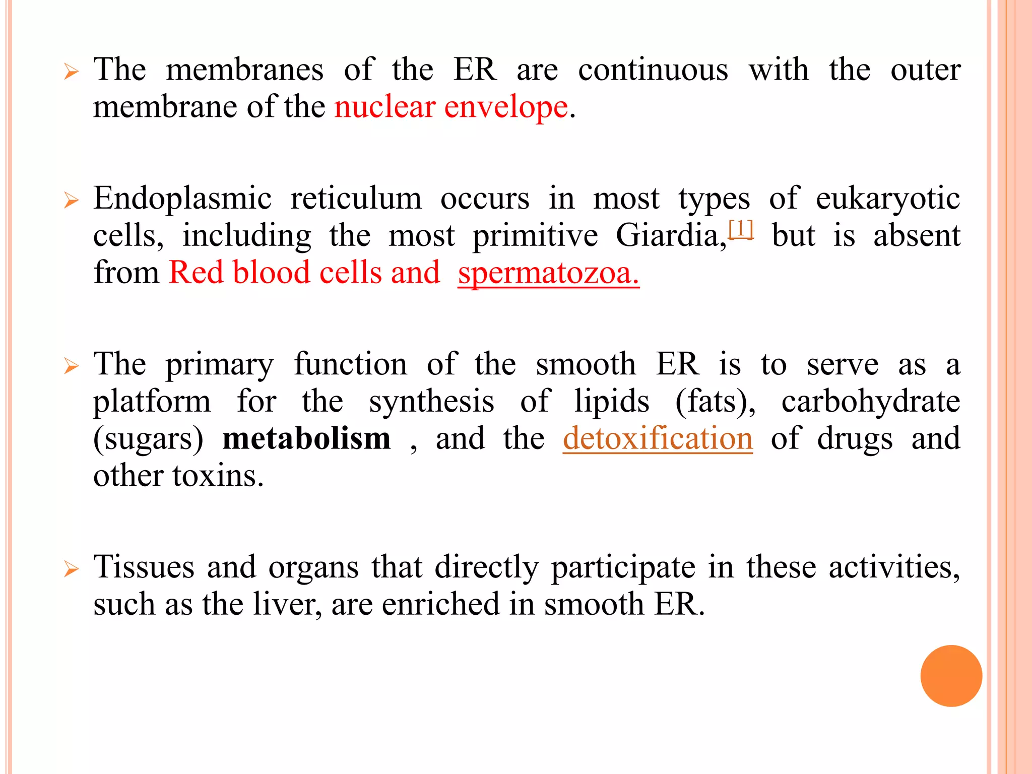 Role of endoplasmic reticulum in protein systhesis and1 | PPTX