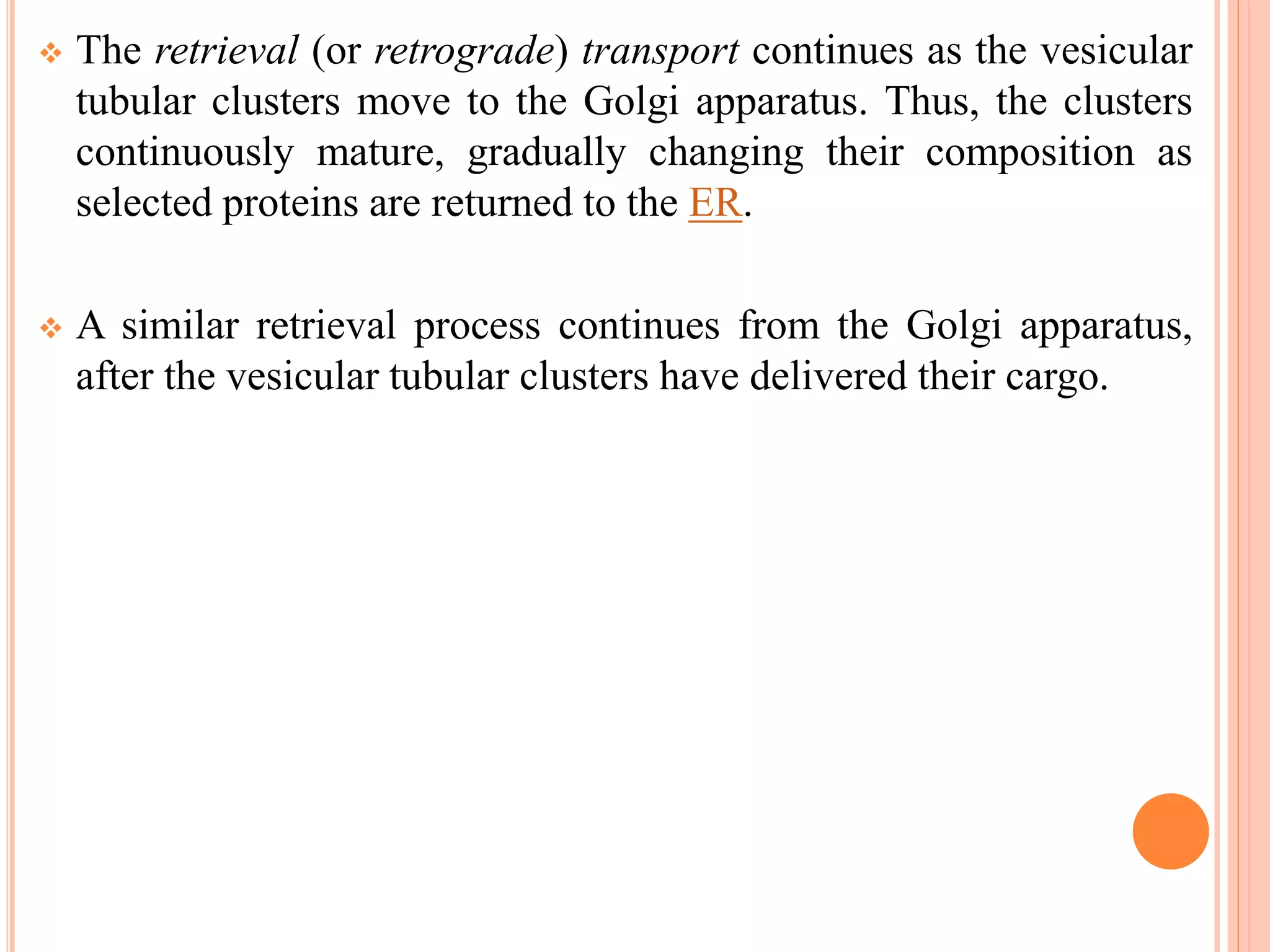 Role of endoplasmic reticulum in protein systhesis and1 | PPTX