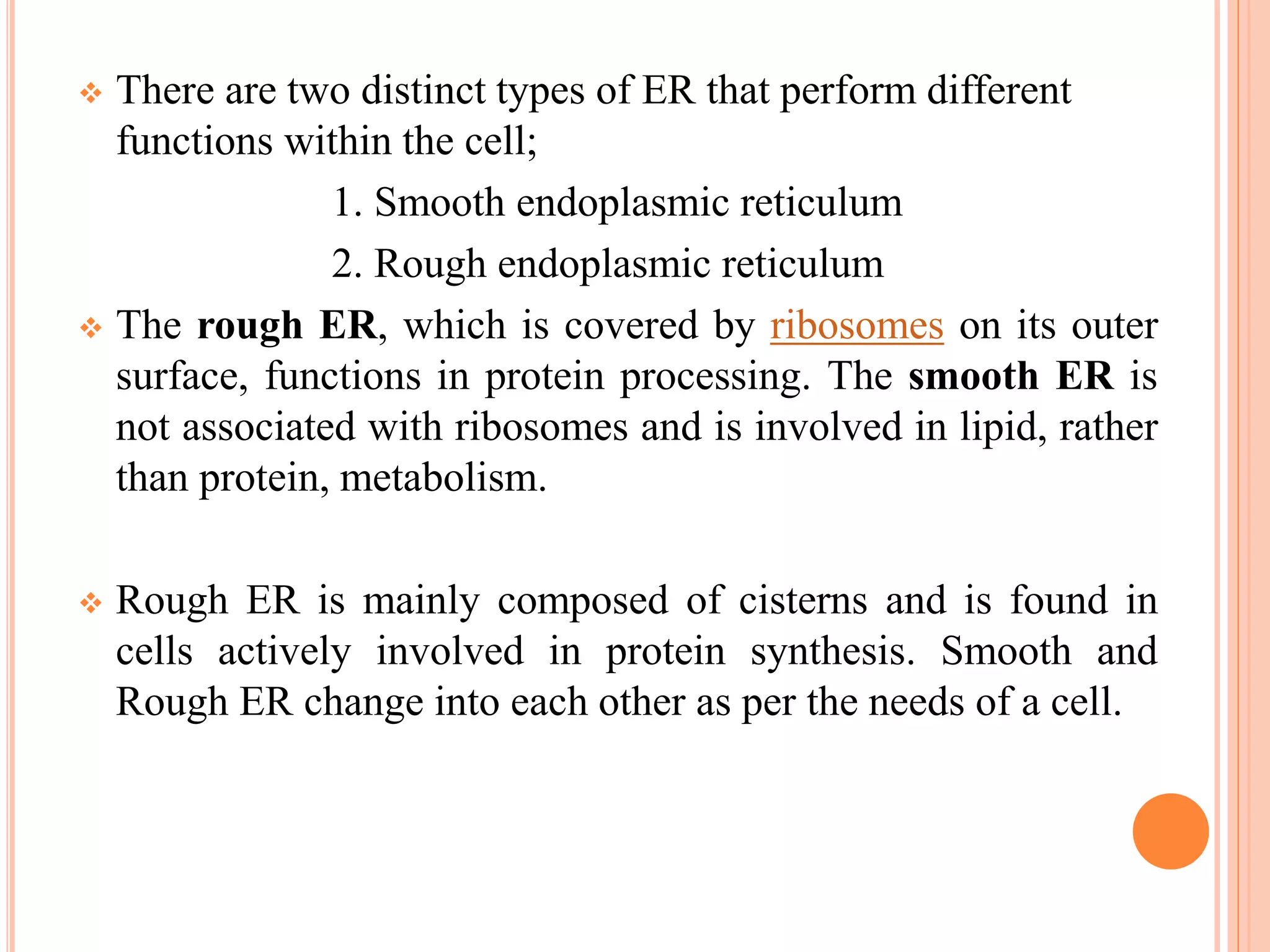 Role of endoplasmic reticulum in protein systhesis and1 | PPTX