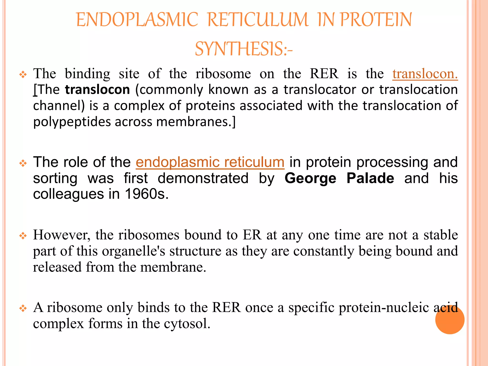 Role of endoplasmic reticulum in protein systhesis and1 | PPTX