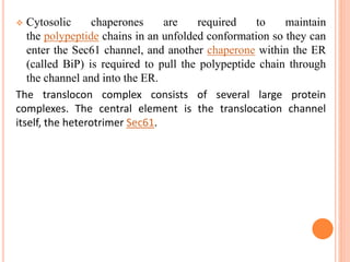Role of endoplasmic reticulum in protein systhesis and1 | PPTX