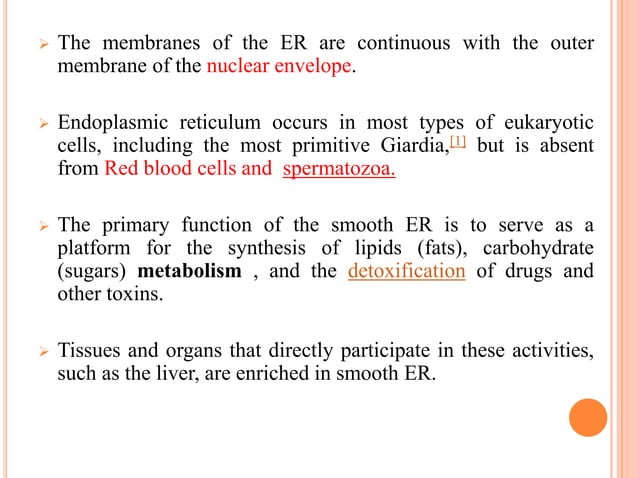 Role of endoplasmic reticulum in protein systhesis and1 | PPTX ...
