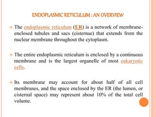 Role of endoplasmic reticulum in protein systhesis and1 | PPTX