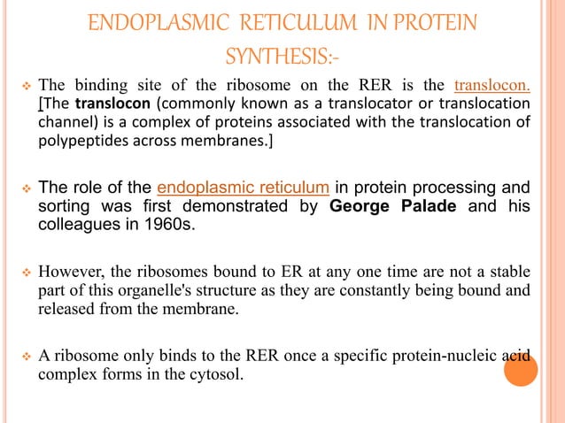 Role of endoplasmic reticulum in protein systhesis and1 | PPTX ...