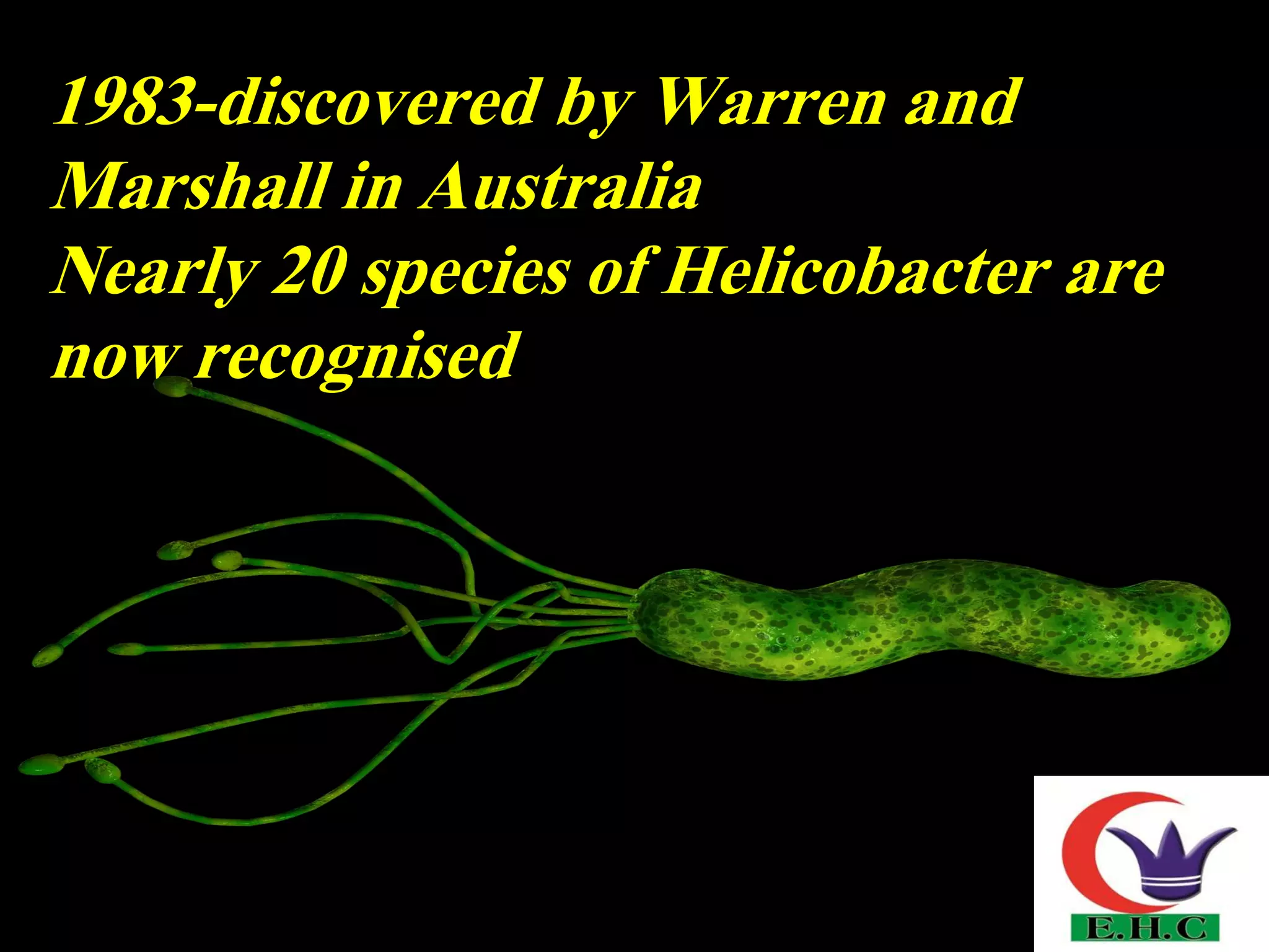 Role of endoscopy in management of h pylori disorders | PPT