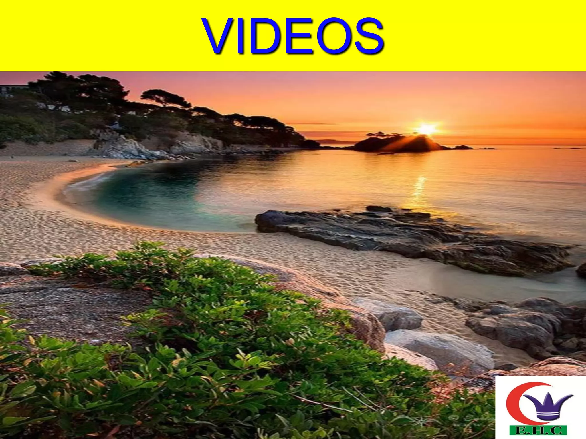 Role of endoscopy in management of h pylori disorders | PPT | Free Download
