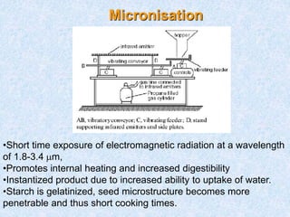 Role of engineering principles and mathematical modeling | PPT