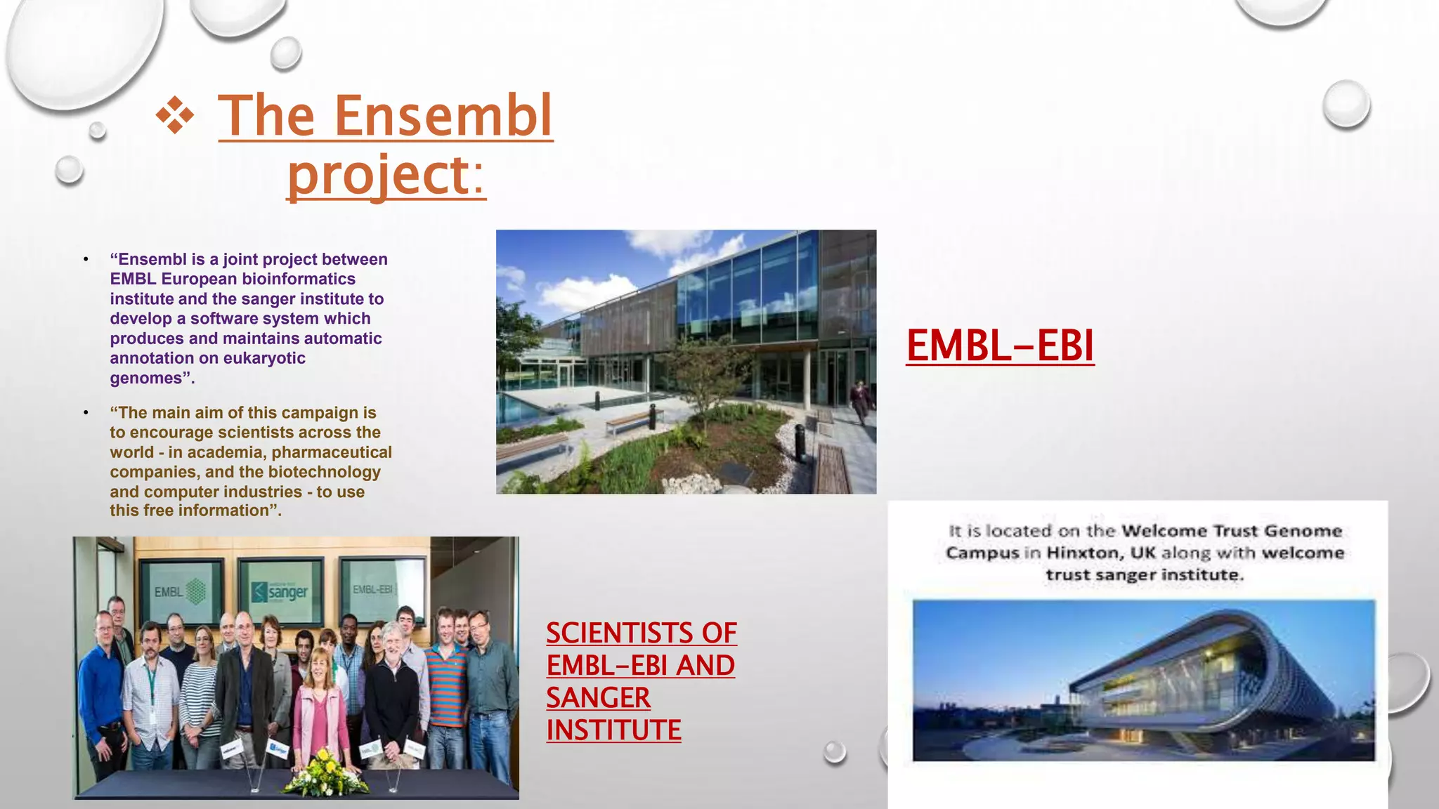 Role of ensembl in genome browsing | PPT