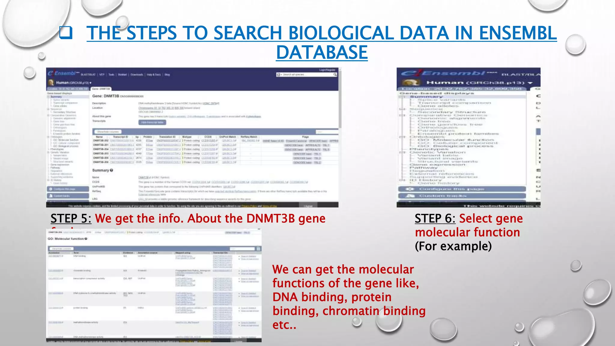 Role of ensembl in genome browsing | PPT