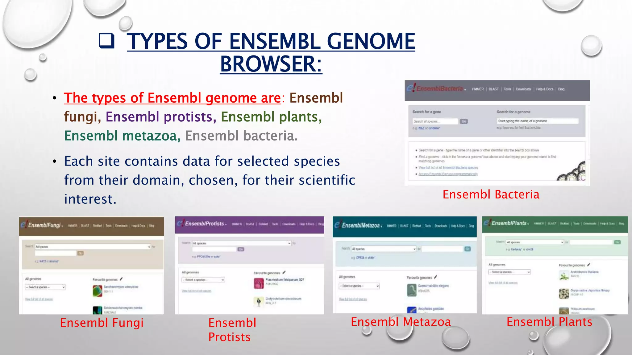 Role of ensembl in genome browsing | PPT