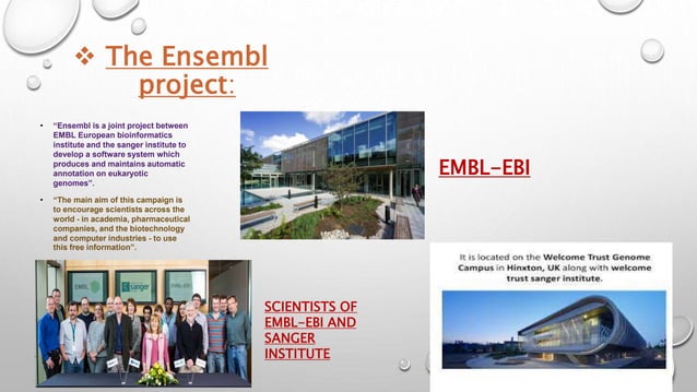 Role of ensembl in genome browsing | PPT